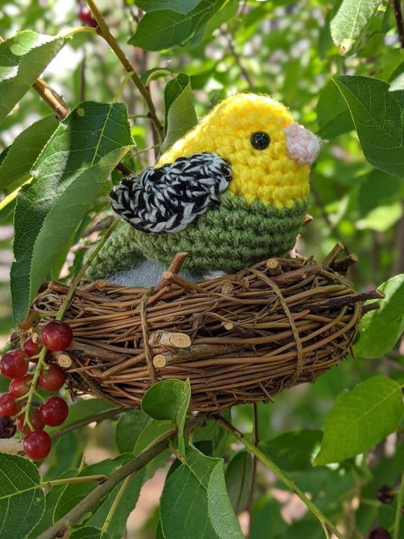 Crocheted Bird-mini Parakeet - Etsy