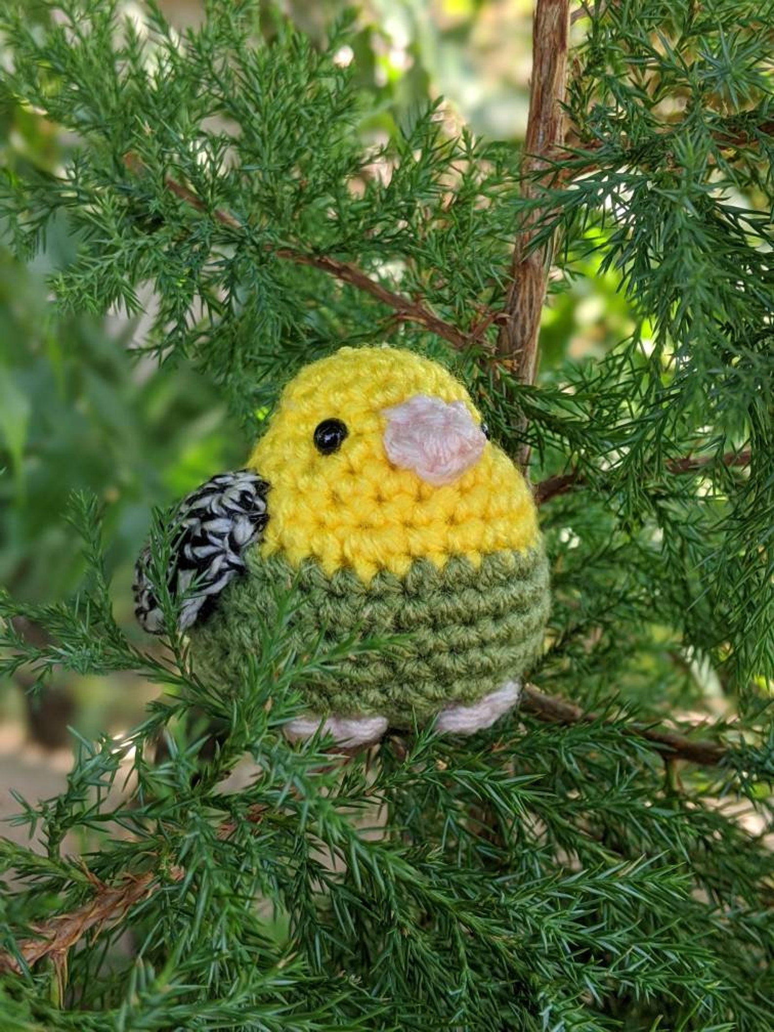 Crocheted Bird-Mini Parakeet | Etsy