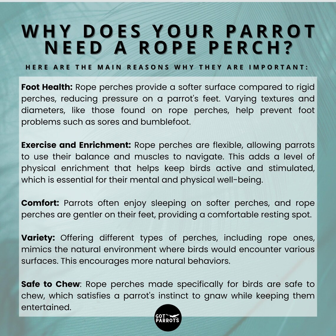 BEST PARROT PERCH! High Quality Natural Rope Perch Parrot Swing ...