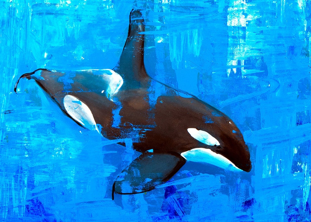 Orca Fine Art Whale Print - Etsy