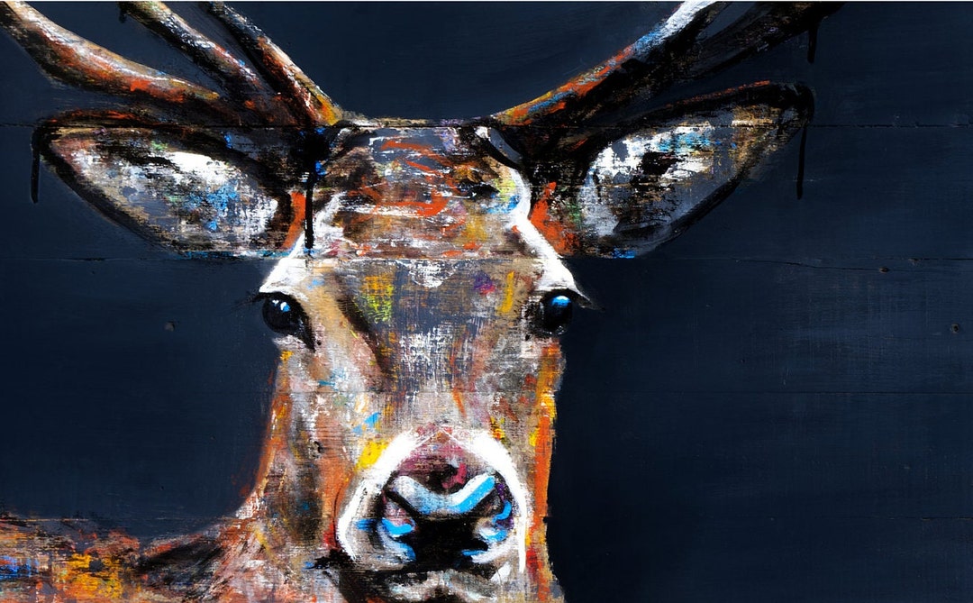 Daimhin Fine Art Print - Etsy