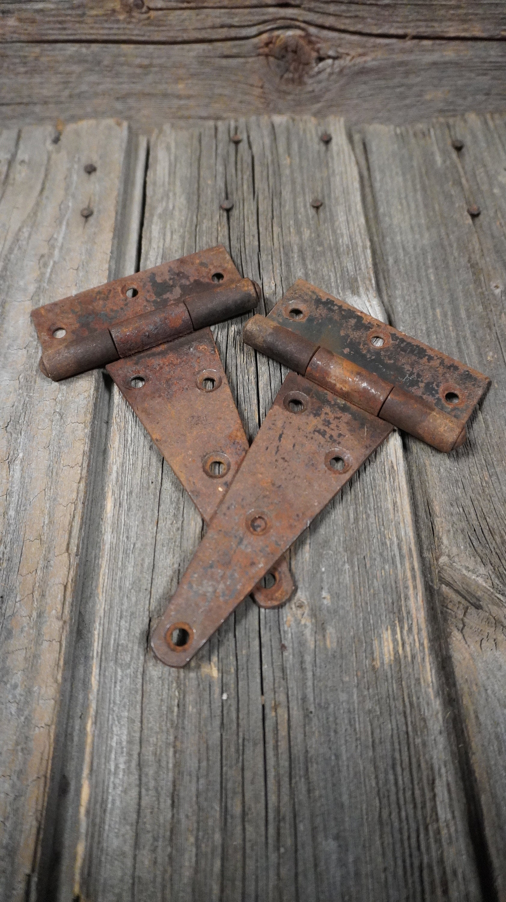 Rusty Door Hinge