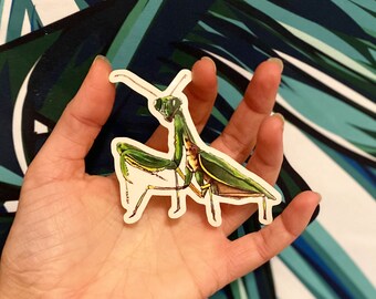 Praying Mantis Sticker - Etsy