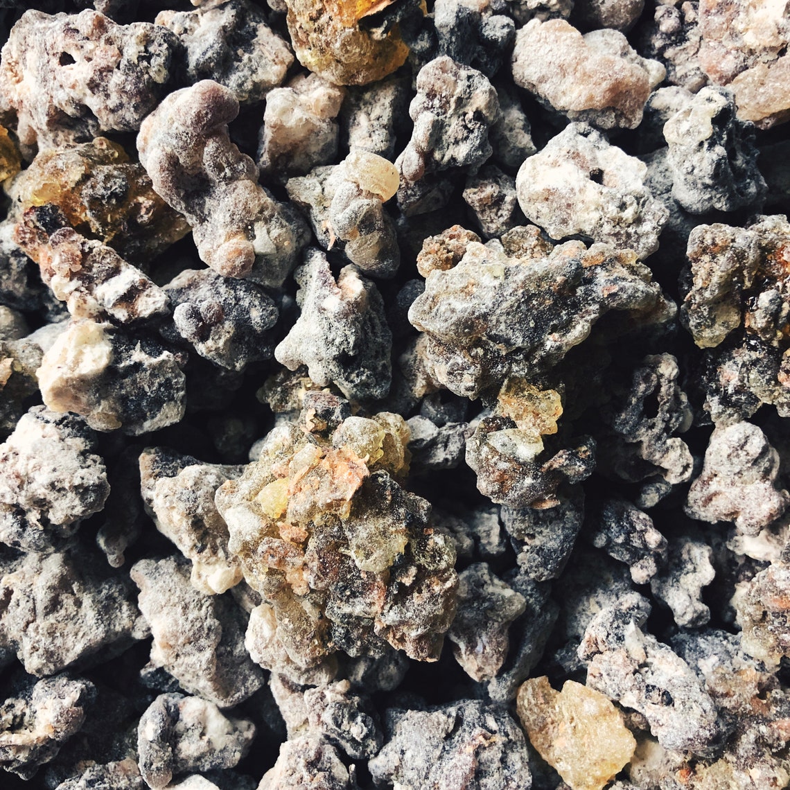 Wild Harvested Ceremonial Copal - Etsy