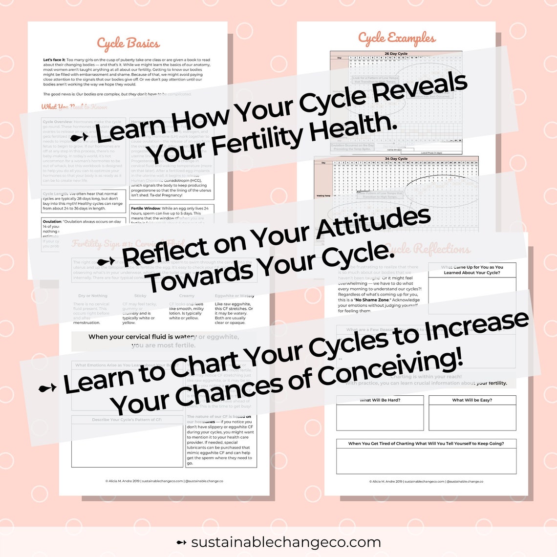Fertility Workbook: Cycle Charting | Natural Family Planning ...
