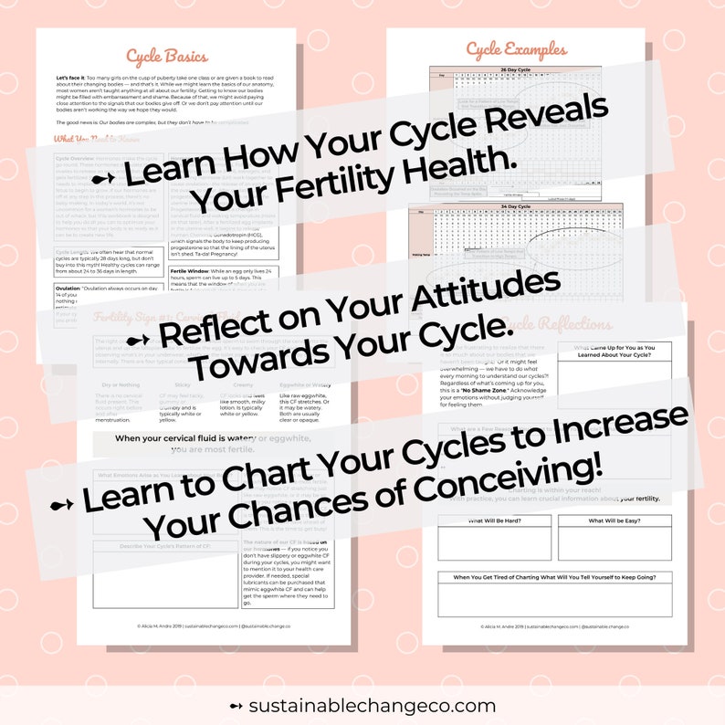 Fertility Workbook: Cycle Charting | Natural Family Planning ...