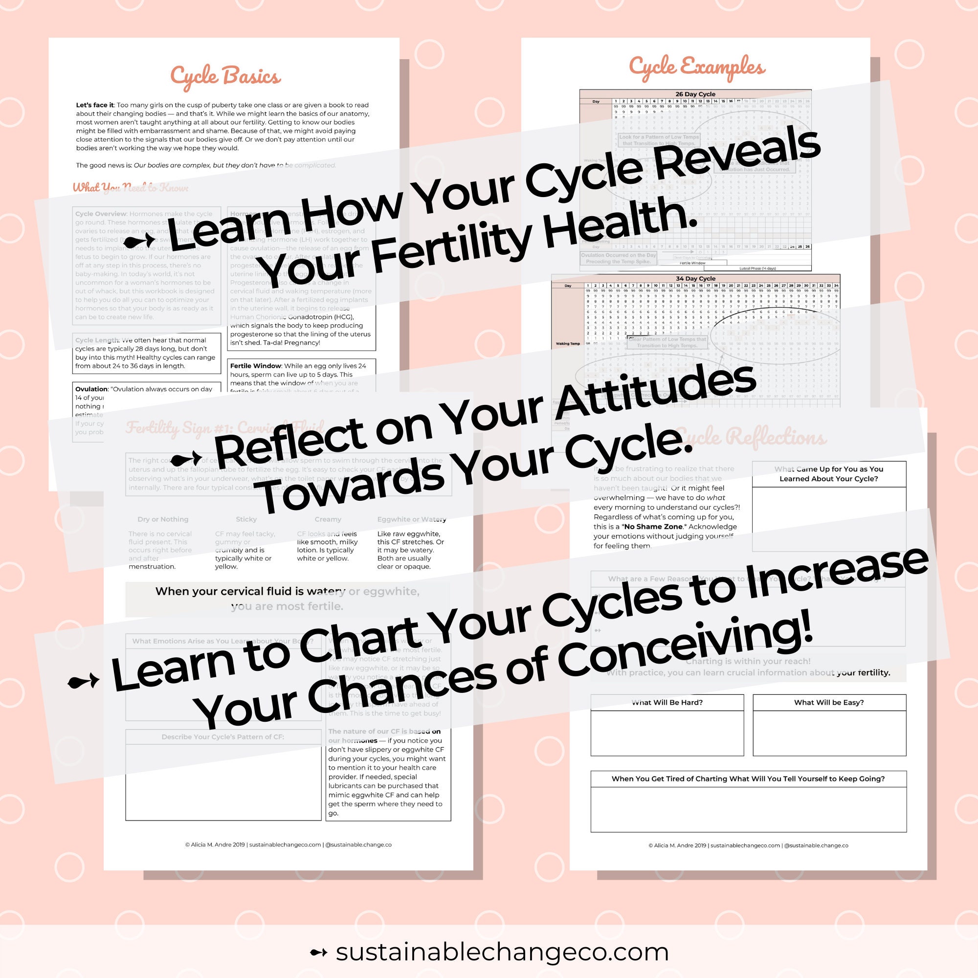 Fertility Workbook: Cycle Charting | Natural Family Planning ...