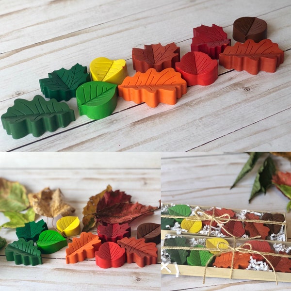 Leaf Fall Leaves - Etsy