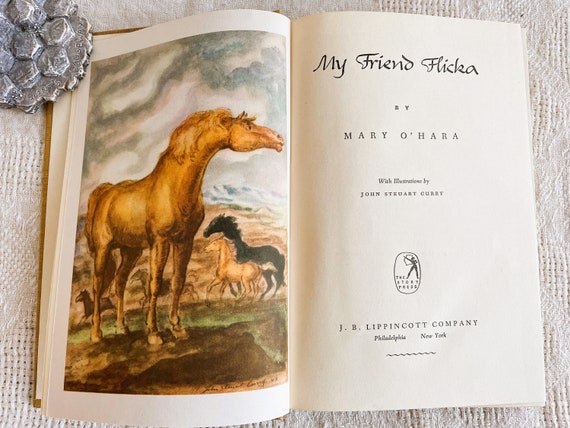 Flicka The Book