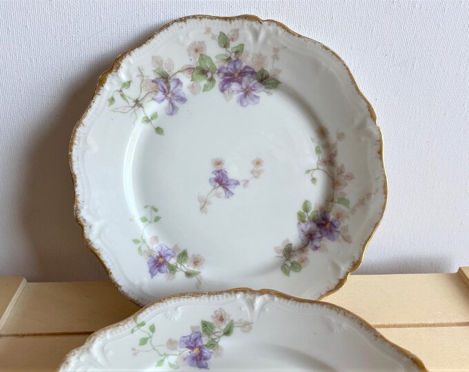Antique Limoges C H Field Haviland Plate, GDA, France, Serving Plate ...