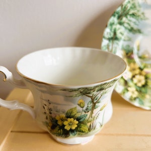 Royal Albert Primrose Hill Tea Cup and Saucer Set, Bone China, Made in ...