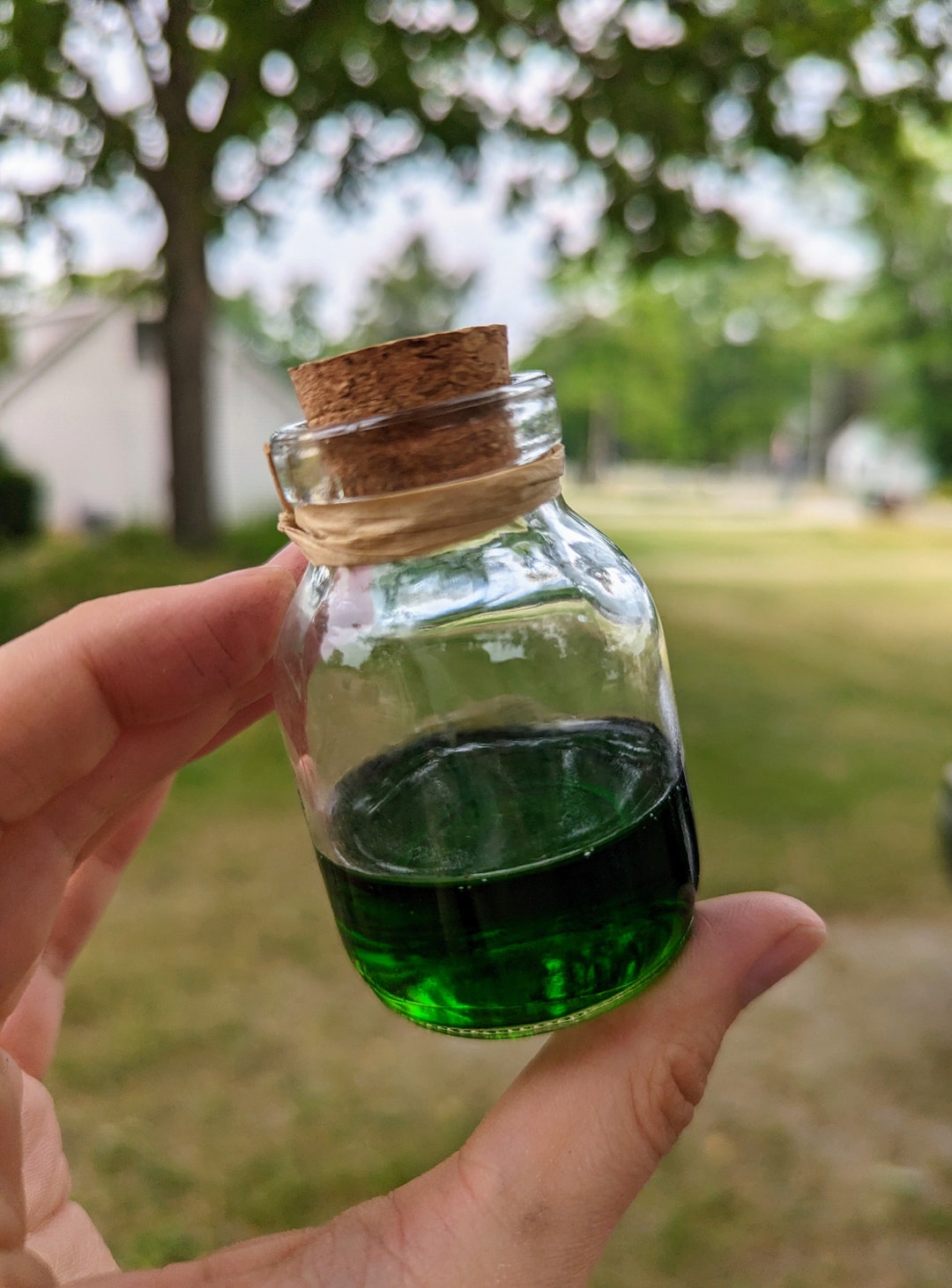 Green Black D20 Potion Bottle Health Potion Witch Potion Glass Potion ...