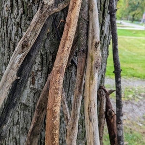 Custom Wizard Staff Walking Stick Cosplay Staff Cane Rustic Wood Staff ...