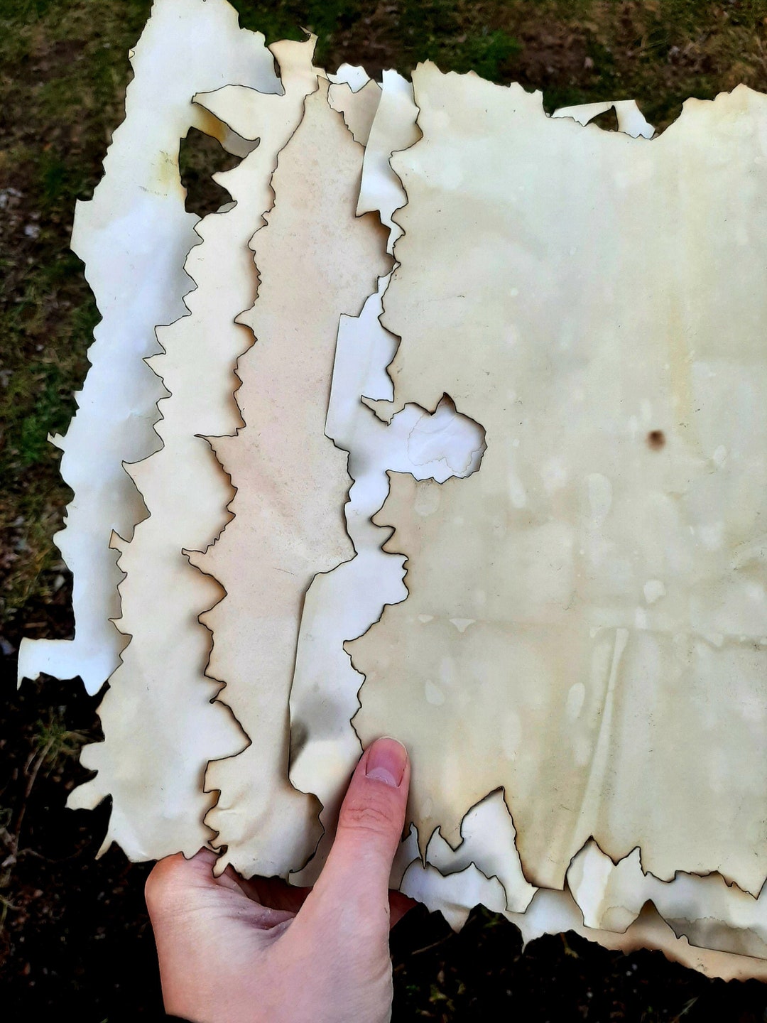 Tea-aged Burnt Edge Paper / RPG / TTRPG Supplies / Aged Paper / Coffee ...