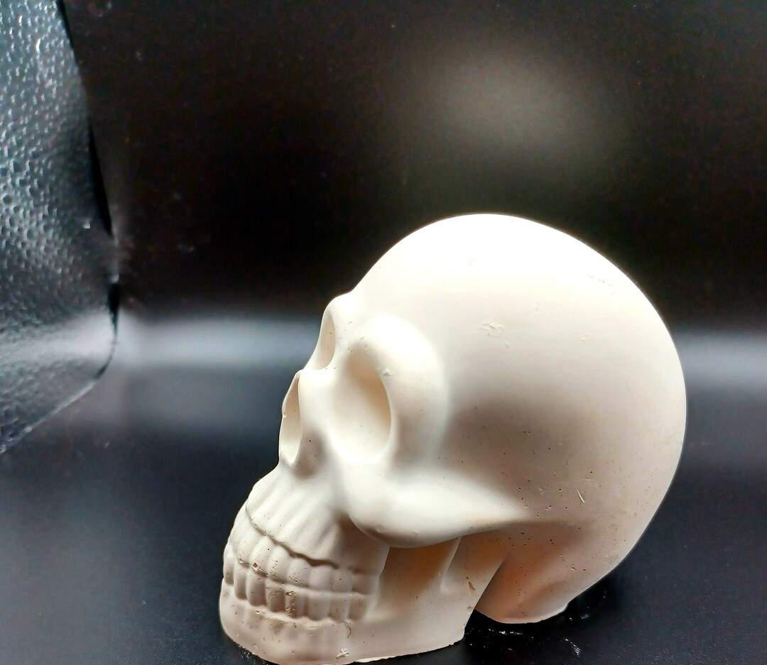 White Skull / Human Skull / Halloween Decorations / Plaster of Paris ...