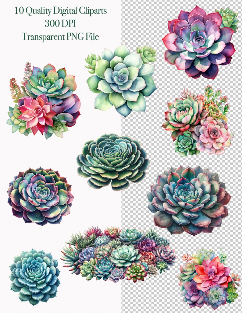 Succulents Pretty Digital Clipart, 300DPI, Pngs, Ready for Your DIY ...