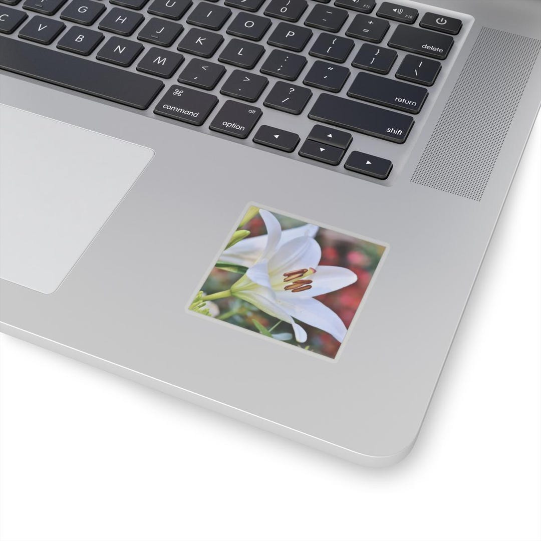 Beautiful White Lilly Peel off Sticker / Colorful, Pretty, Vibrant ...