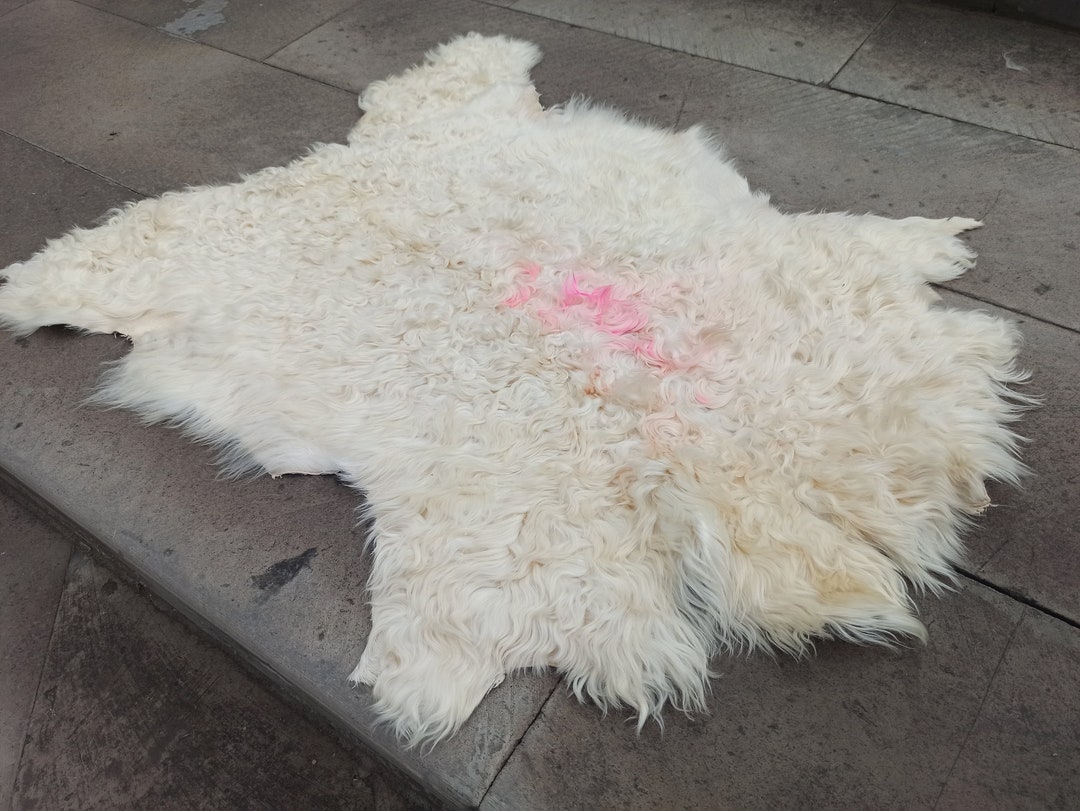 Ankara Angora Goat Frizzy Goatskin, Handmade Leather for Sale Goatskin ...