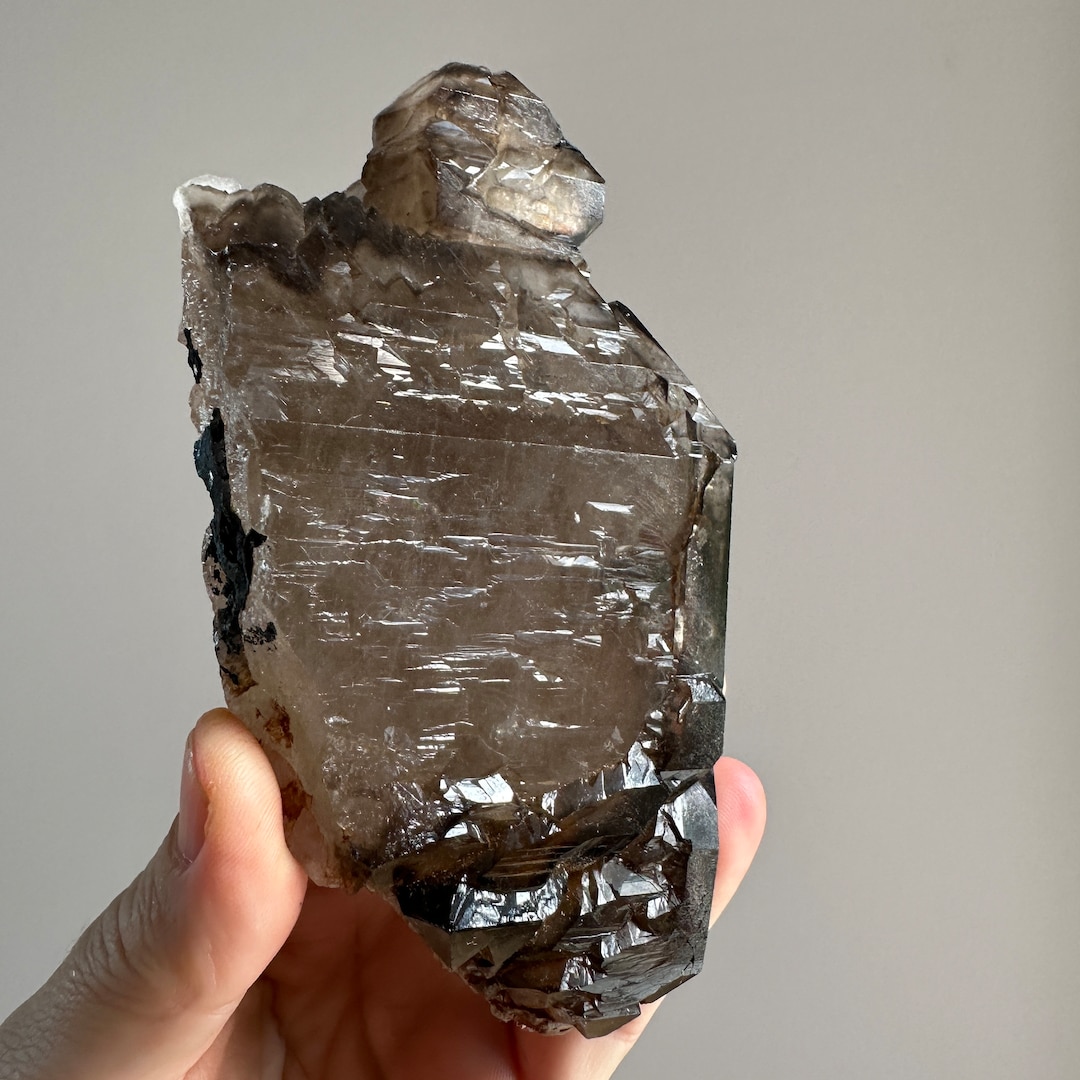 Smoky Elestial Quartz, Elestial Natural Crystal, Rainbows Alligator ...