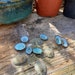 10 Blue Limpets - Etsy