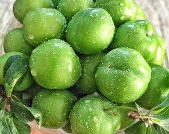 Fresh Organic Sour Green Plums seasonal - Etsy