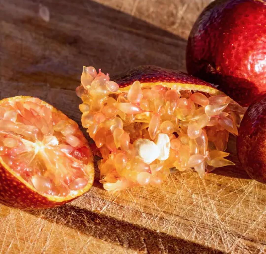 Red Cavier Australian Finger Lime Tree - Etsy