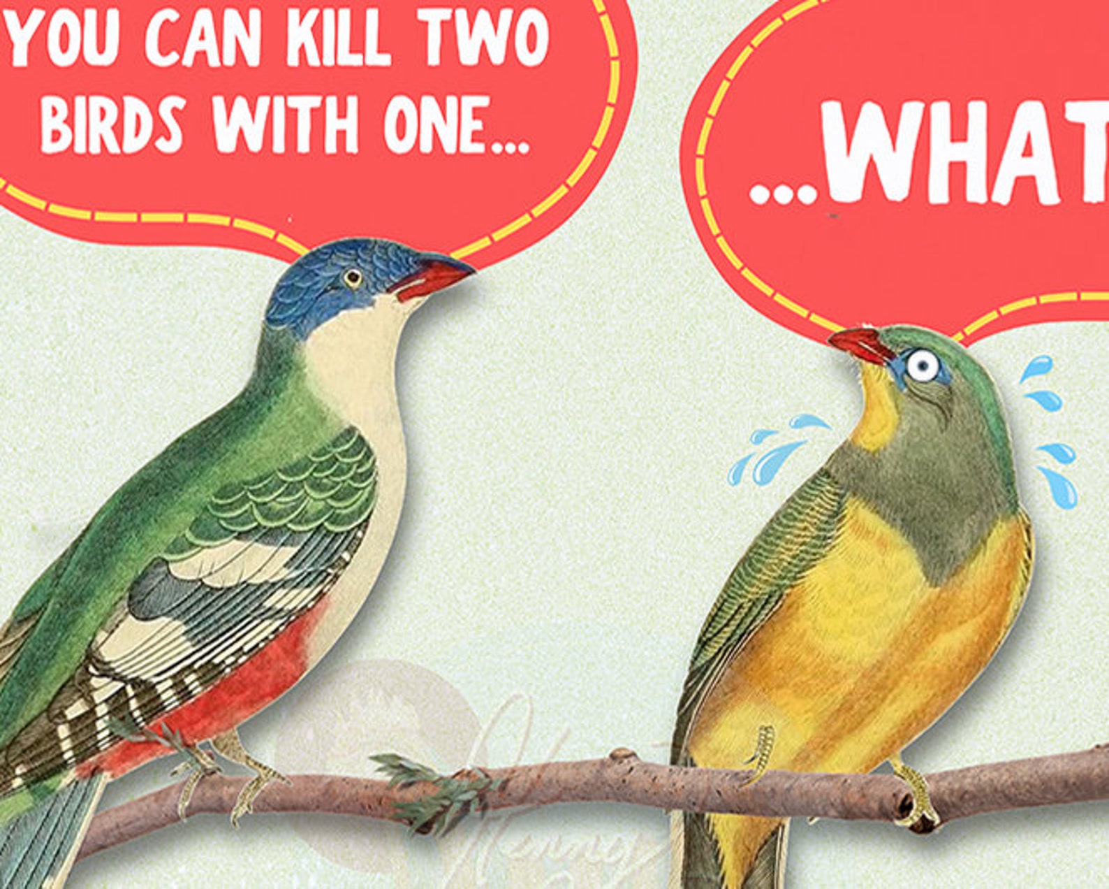 Funny Animal Card, Bird Greeting Card, Funny Card for Him, Funny Card ...