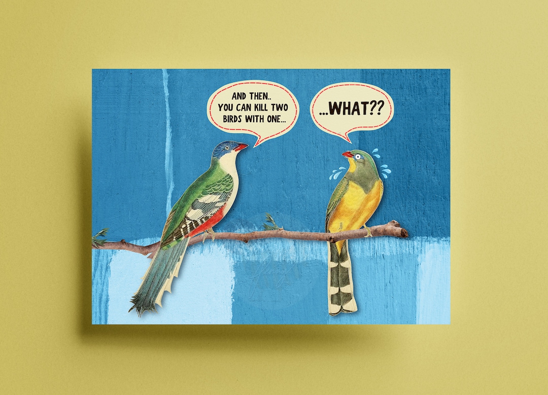 Funny Animal Card, Kill Two Birds With One Stone, Funny Animal Pun Card ...