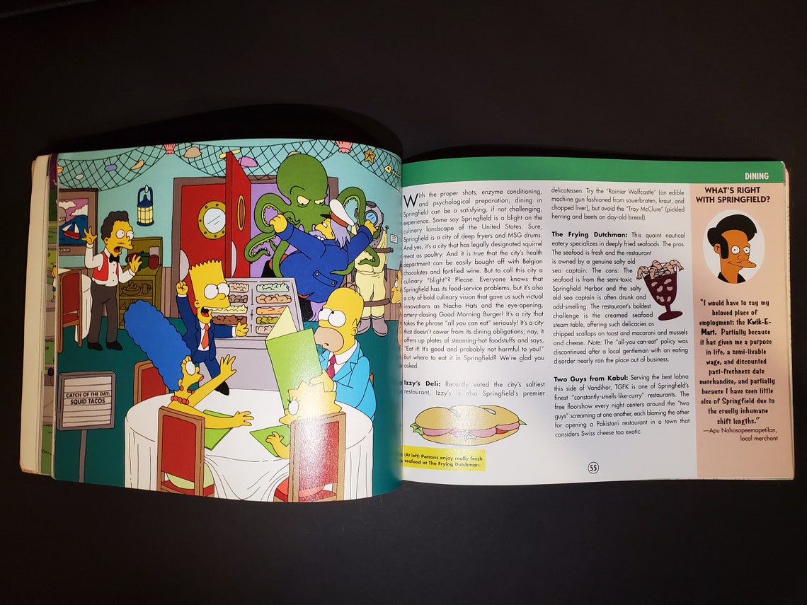 The Simpsons Guide to Springfield Softcover Book Première - Etsy France