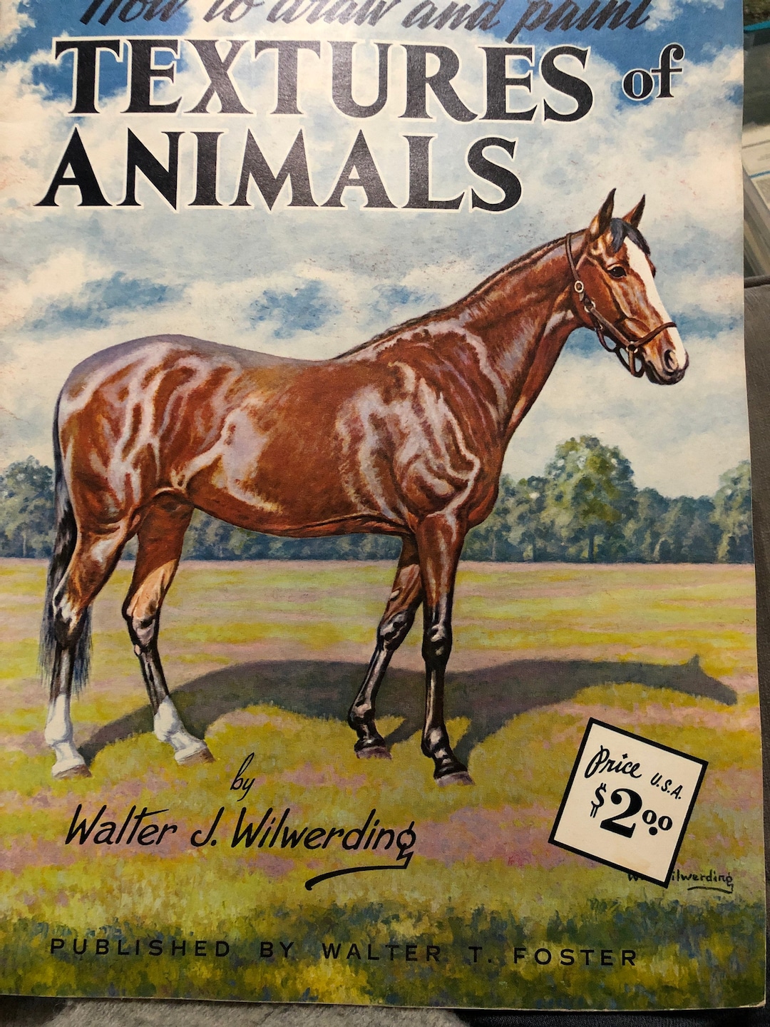 Vintage Walter Foster Book-how to Draw and Paint Textures of Animals ...
