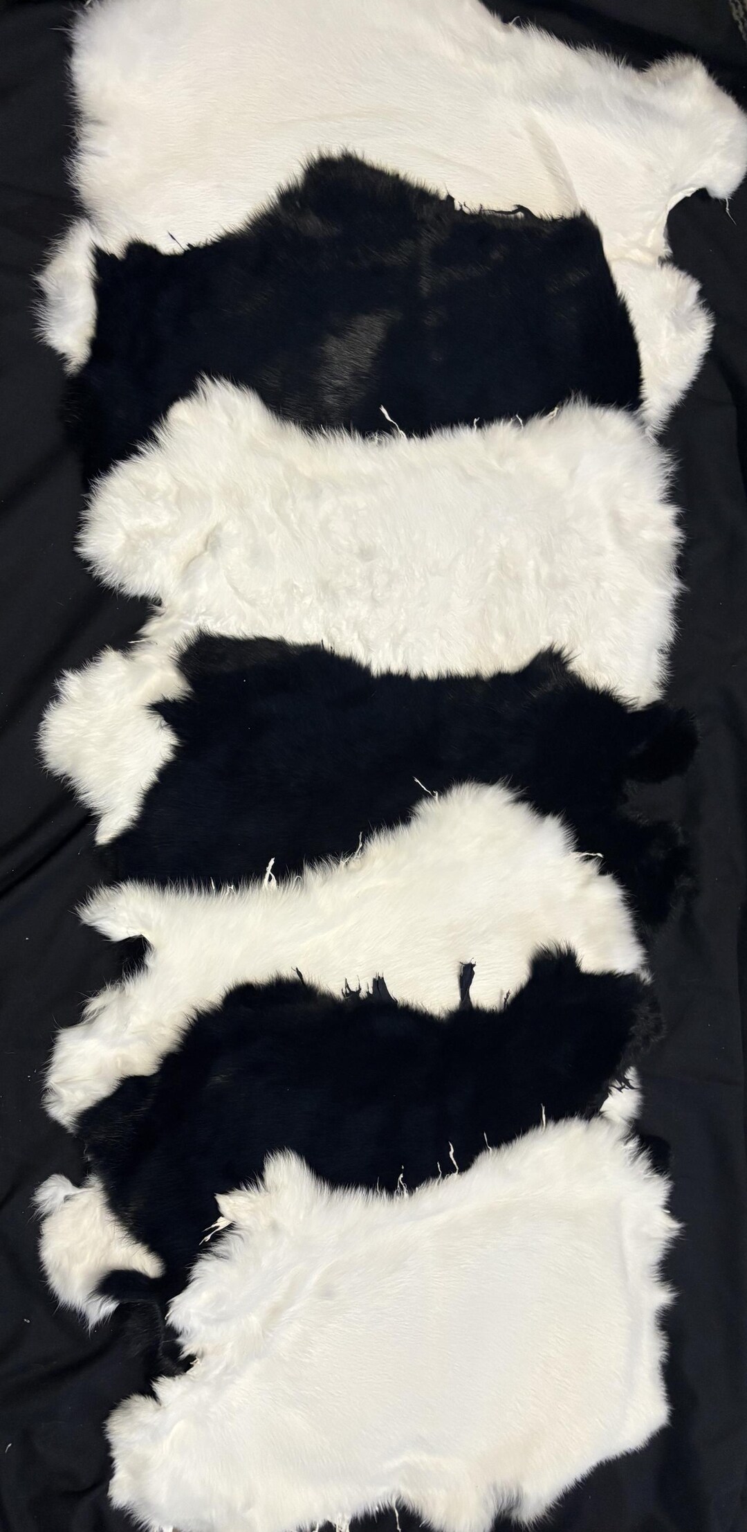 Ready to Ship Genuine Rabbit Skins Furs Black Rabbit and White Rabbit ...