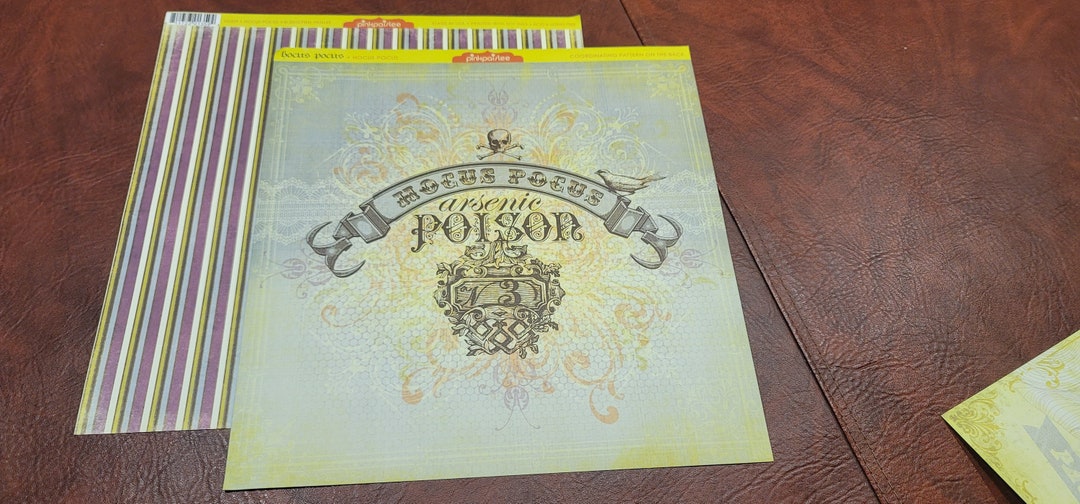 Pink Paislee 12 X 12 Hocus Pocus Paper Collection Hocus Pocus - Etsy