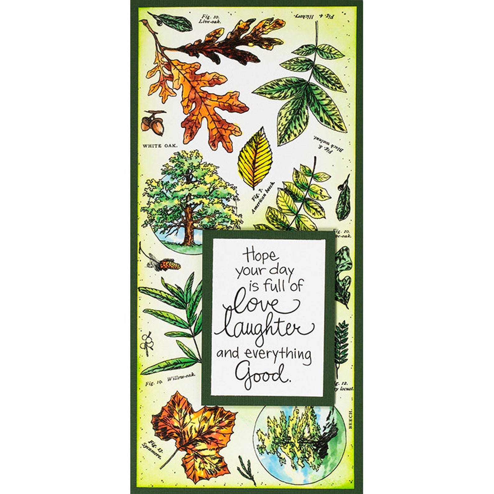 Stampendous New Release Slim Leafy Trees Cling Rubber Stamp - Etsy