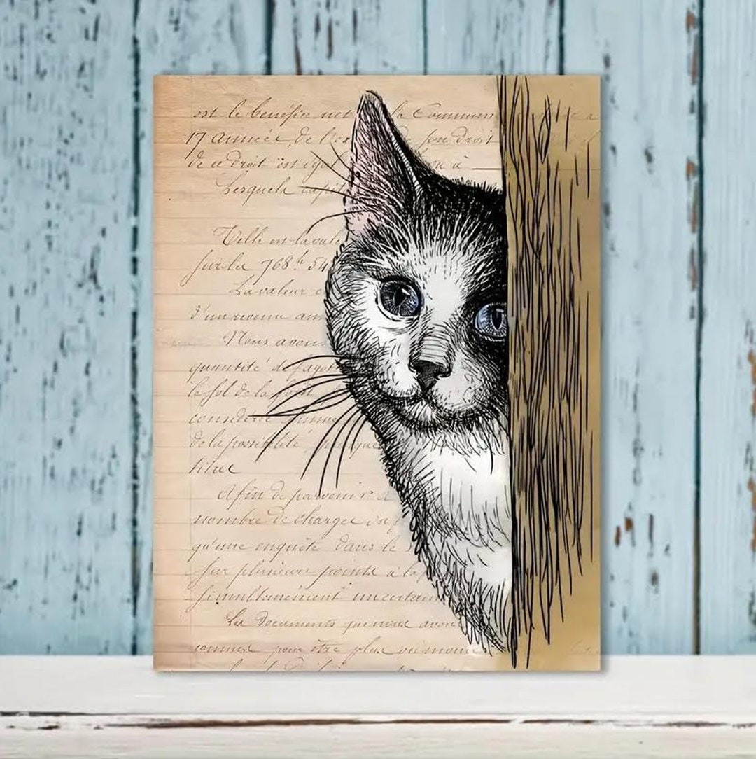 Clear Cling Peek A Boo Cat Rubber Stamp - Etsy
