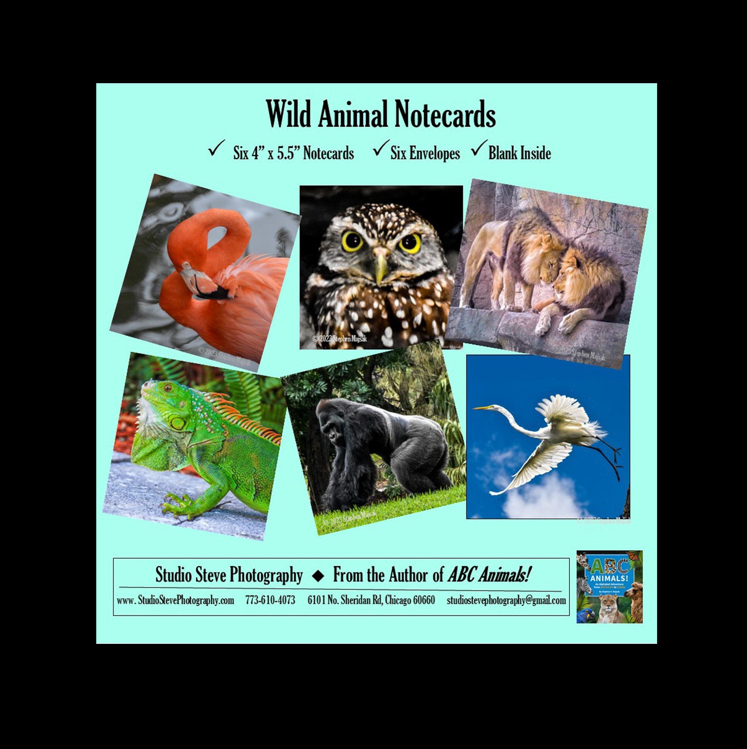 Wild Animal Note Cards - Etsy