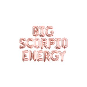 Birthday Decorations, Big Scorpio Energy Balloon Banner, Birthday ...
