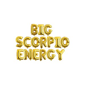 Birthday Decorations, Big Scorpio Energy Balloon Banner, Birthday ...