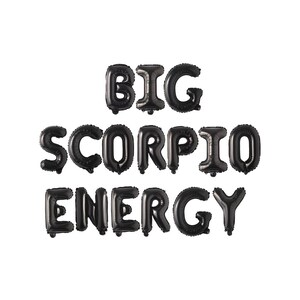 Birthday Decorations, Big Scorpio Energy Balloon Banner, Birthday ...