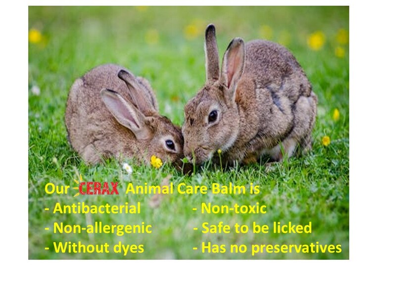 Animal Care Balm Promotes Healing, Protects and Nourishes the Skin ...