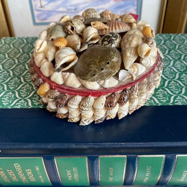 Shell Boxes - Etsy