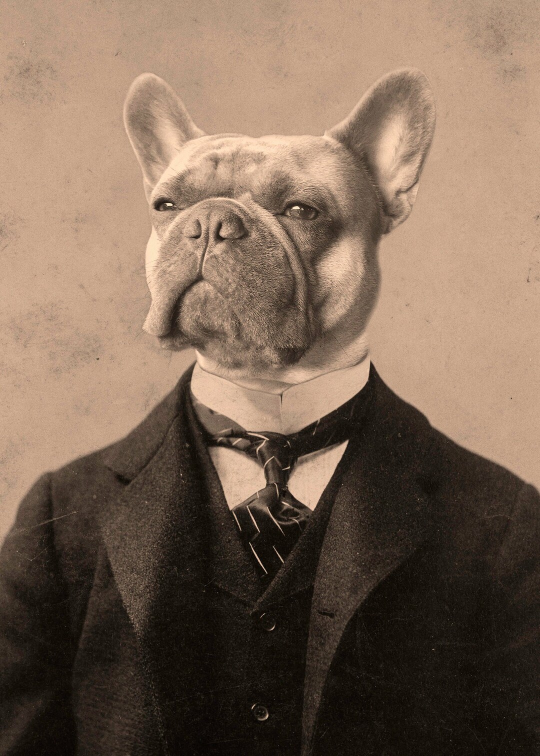 Victorian French Bulldog Portrait - Frenchie Art - Etsy