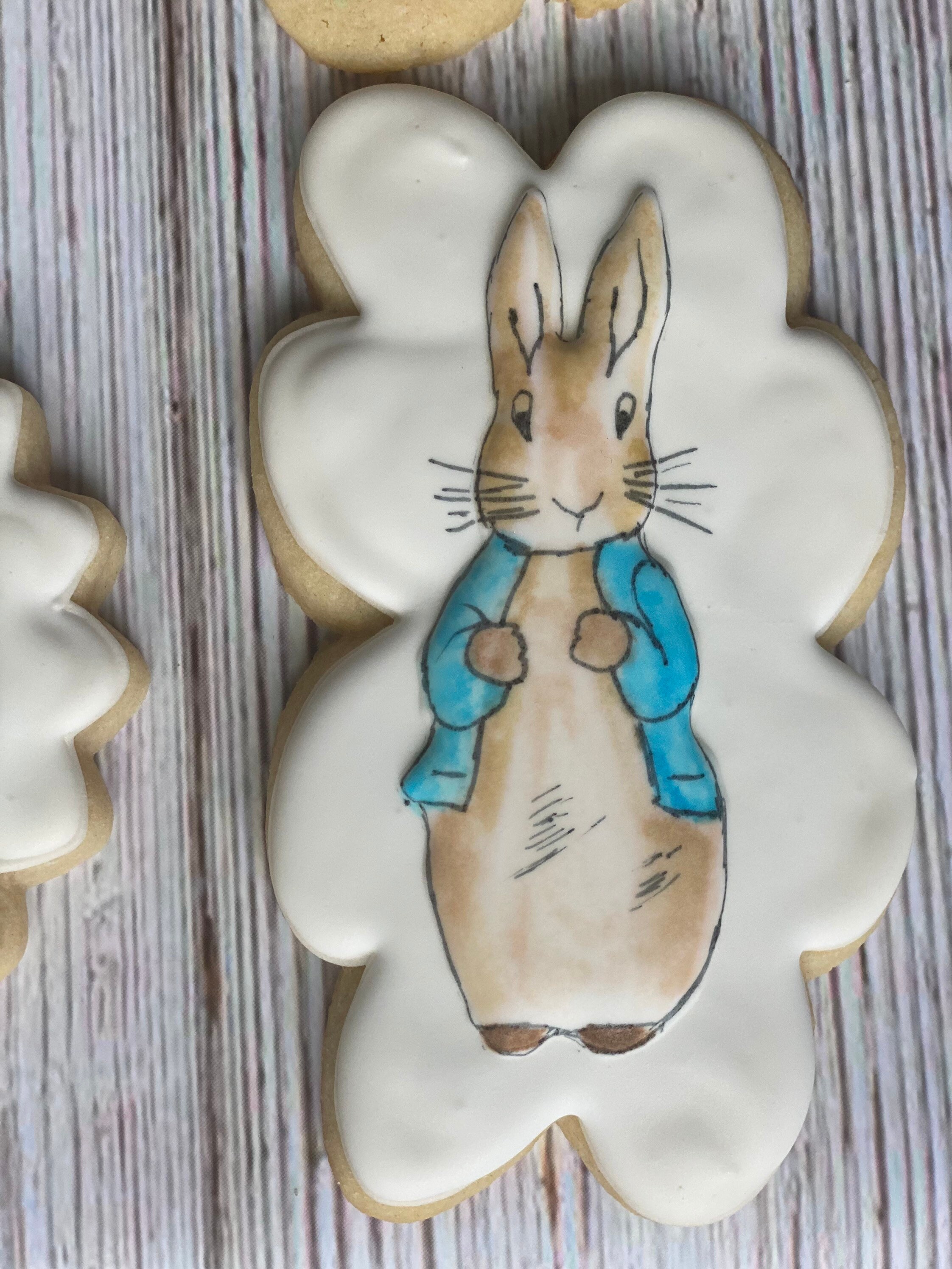Rabbit and Goose Peter Rabbit Cookies Carrot Cookies | Etsy
