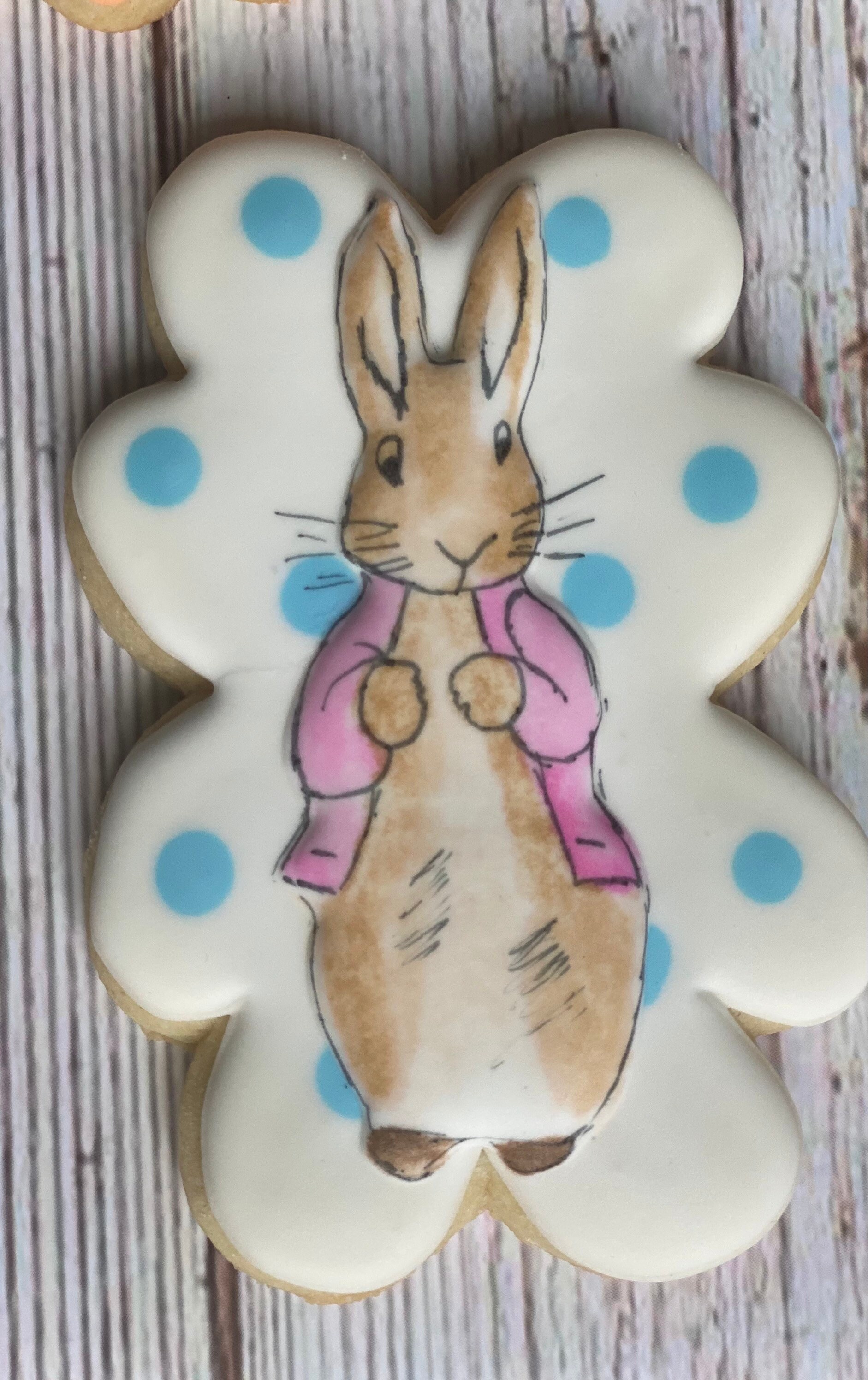 Rabbit and Goose Peter Rabbit Cookies Carrot Cookies | Etsy