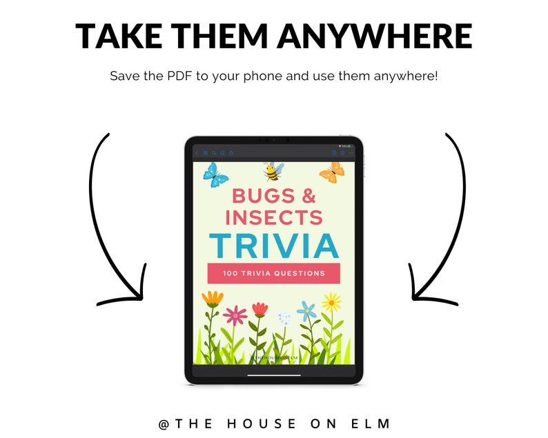 Bugs and Insects Trivia Cards | Homeschool Activity, Learning Games ...
