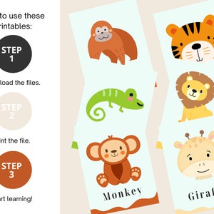 Safari Adventure - 16 Engaging 5x7 Flashcards for Children Ages 3-5 - Etsy