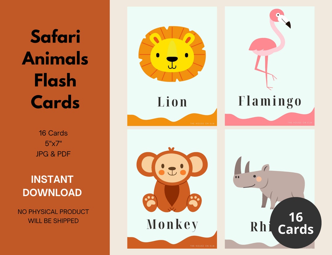 Safari Adventure - 16 Engaging 5x7 Flashcards for Children Ages 3-5 - Etsy