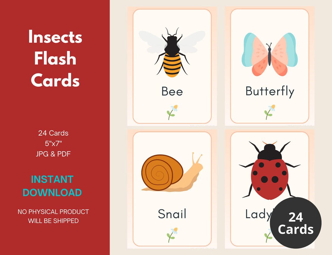 Insects Exploration Flashcards - 24 Printable 5x7 Cards for Kids Ages 4 ...