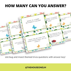 Bugs and Insects Trivia Cards | Homeschool Activity, Learning Games ...