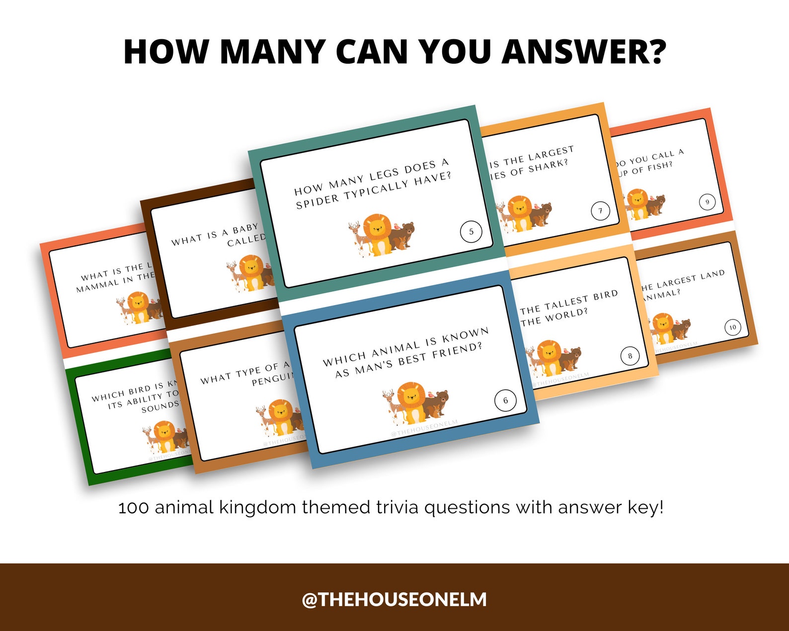 Animal Kingdom Trivia Cards | Homeschool Activity, Learning Games ...
