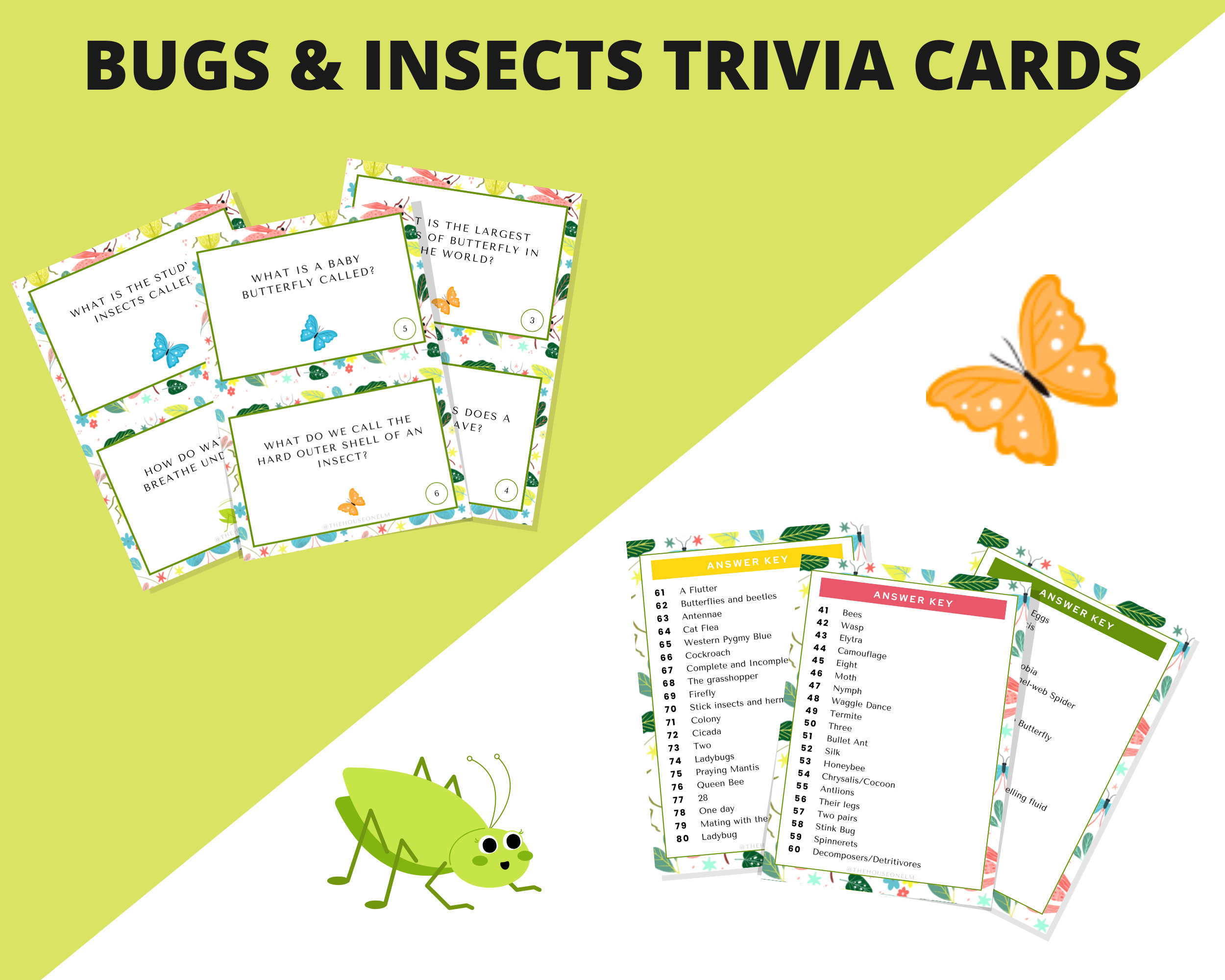 Bugs and Insects Trivia Cards | Homeschool Activity, Learning Games ...